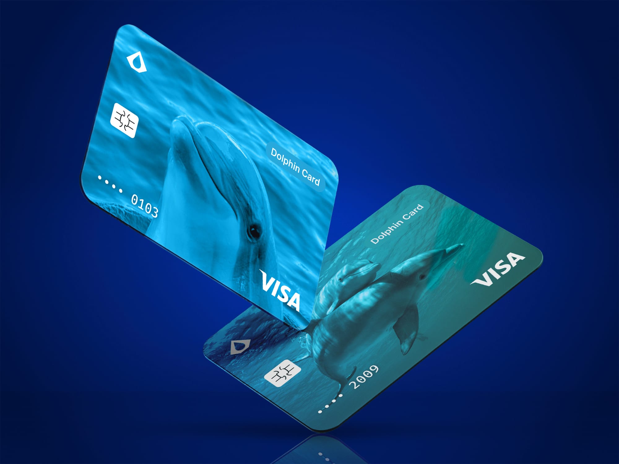 Dolphin Card Review 2026: Spend Bitcoin Like Cash with a Virtual Visa
