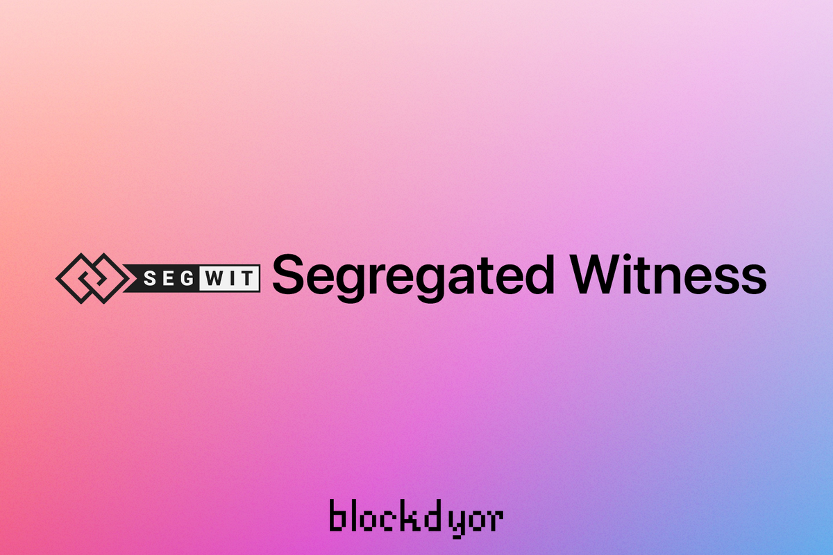 Segregated Witness (SegWit): What Is It And How Does It Work? Segregated Witness (SegWit): What Is It And How Does It Work?