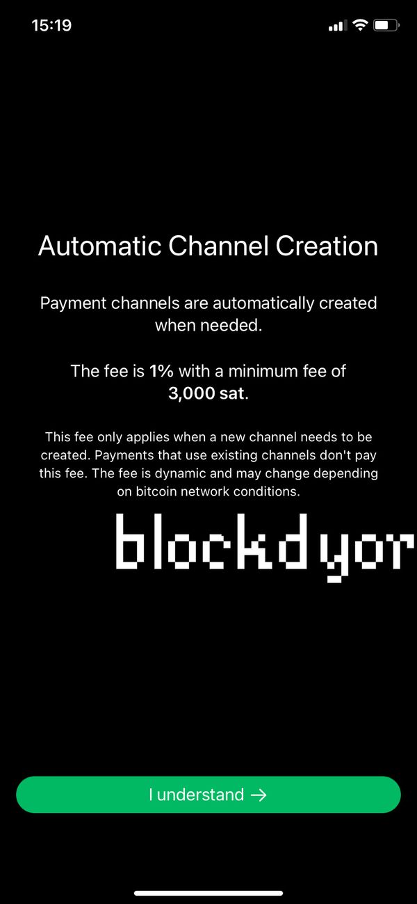 Phoenix Wallet Review: A Non-Custodial Bitcoin LN Wallet